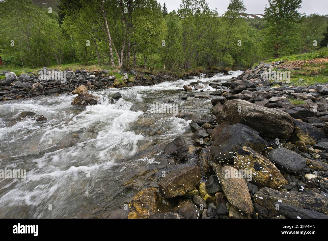 Mountain stream, Lofoten, Norway Stock Photo - Alamy
