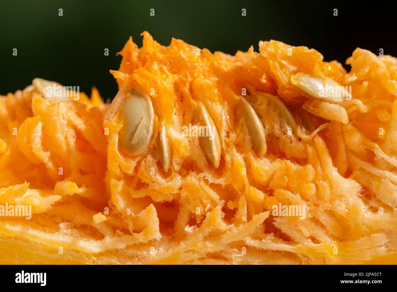 Pumpkin pulp hi-res stock photography and images - Alamy