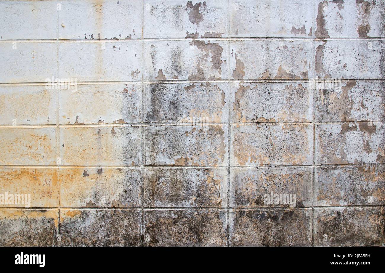 Hi res grunge background and texture for any design Stock Photo - Alamy