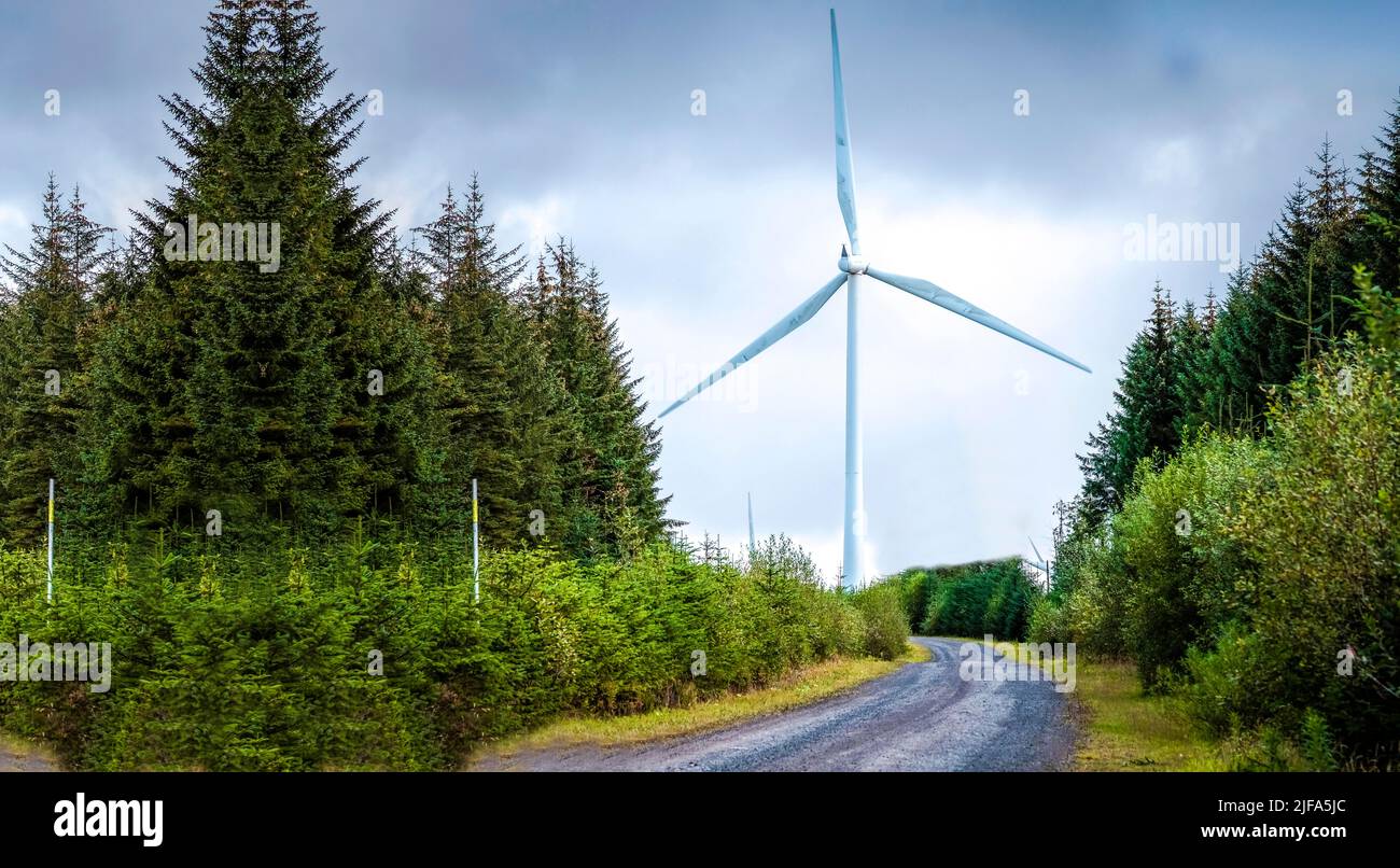 Windmill in the field, windmill with solar plants, renewable resources ...