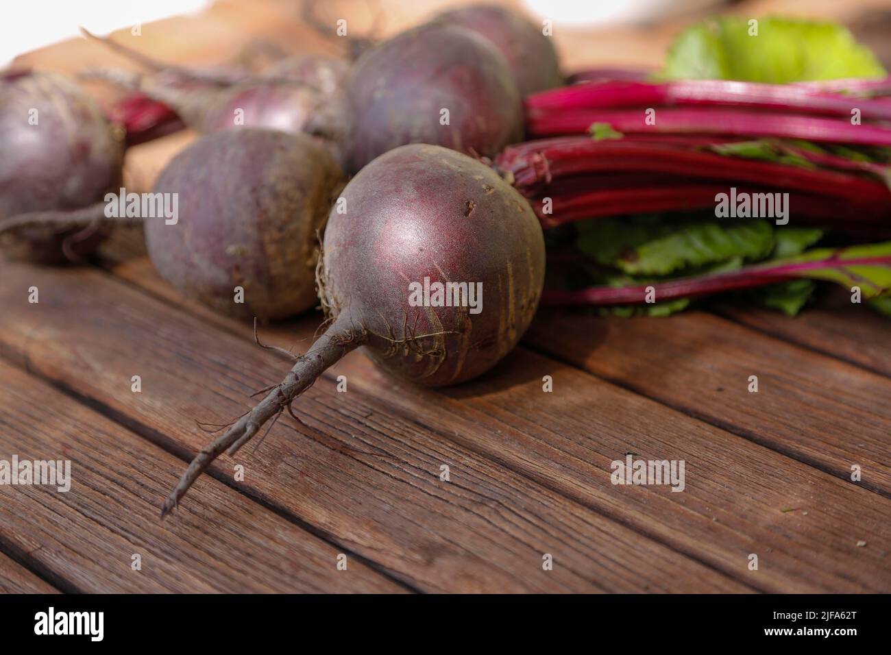 Southern German cuisine, preparation walnut cake with beetroot (Beta ...