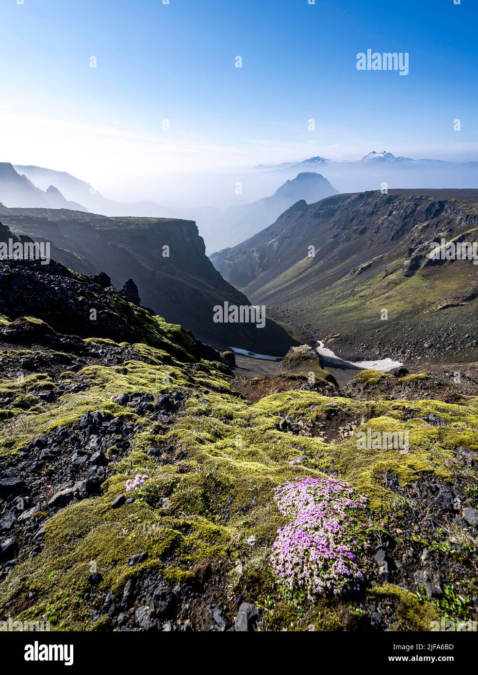 Moss in bloom, view of gorge and mountain peaks between valley covered ...