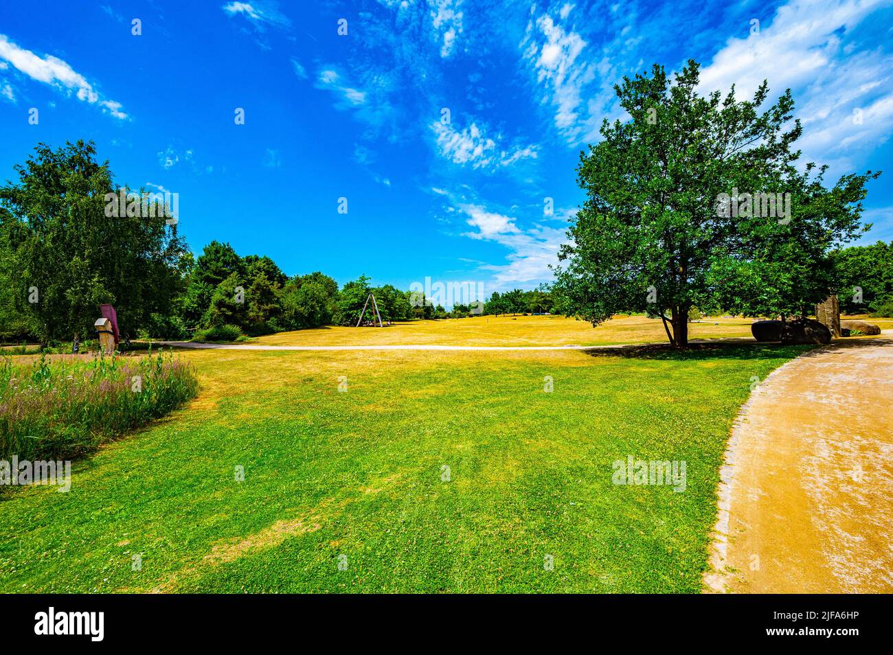 A meadow with isolated trees in summer under a blue sky in the Park der ...