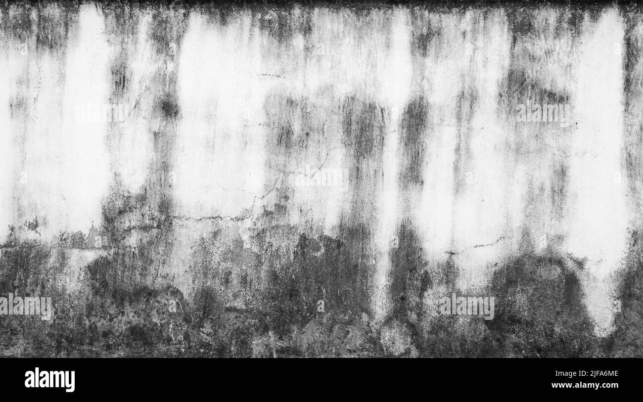 Hi res grunge background and texture for any design. Black and white Stock Photo - Alamy