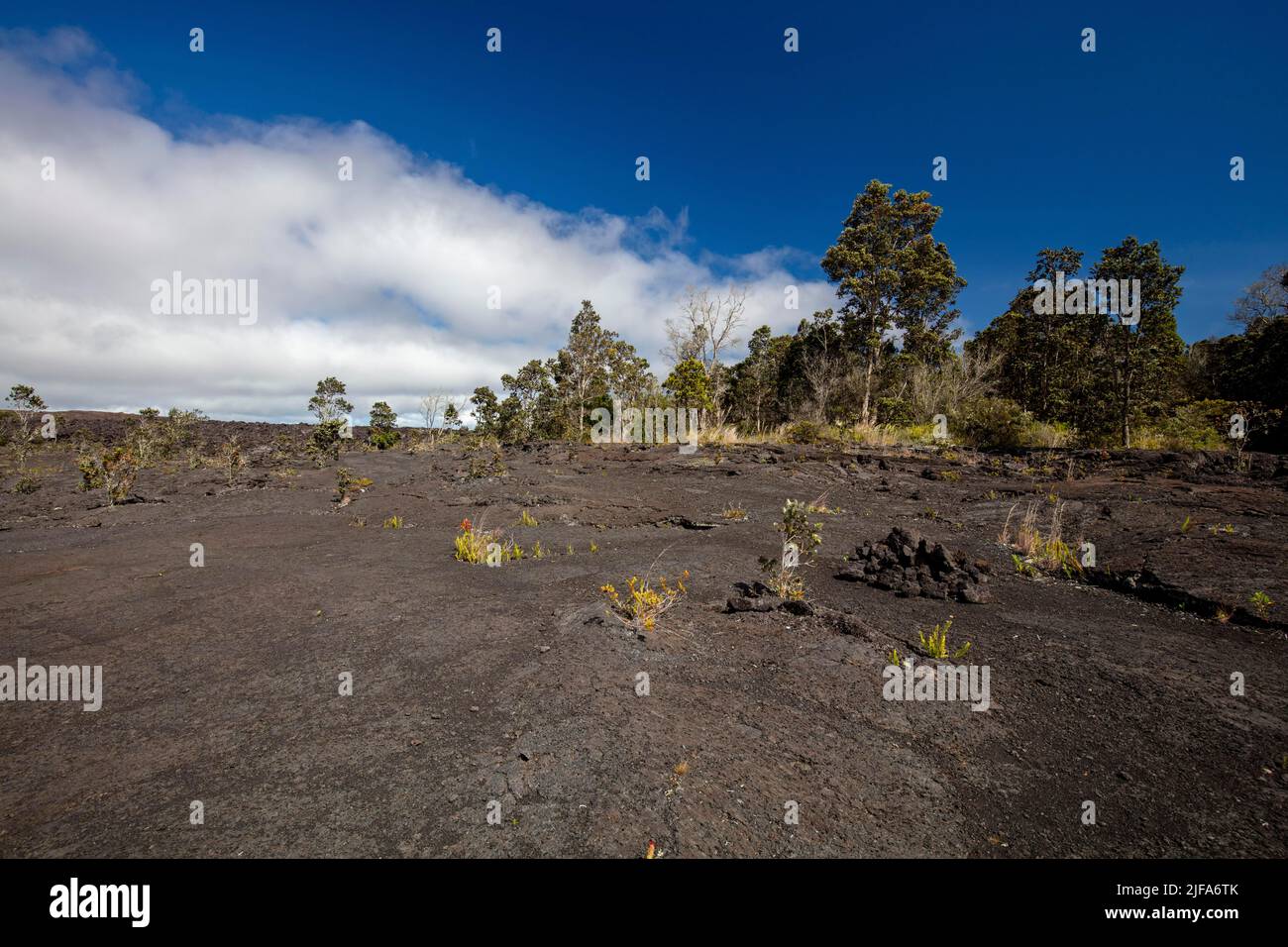 View over the lava flow, 1973 eruption, Mauna Ulu, Hawai'i Volcanoes ...