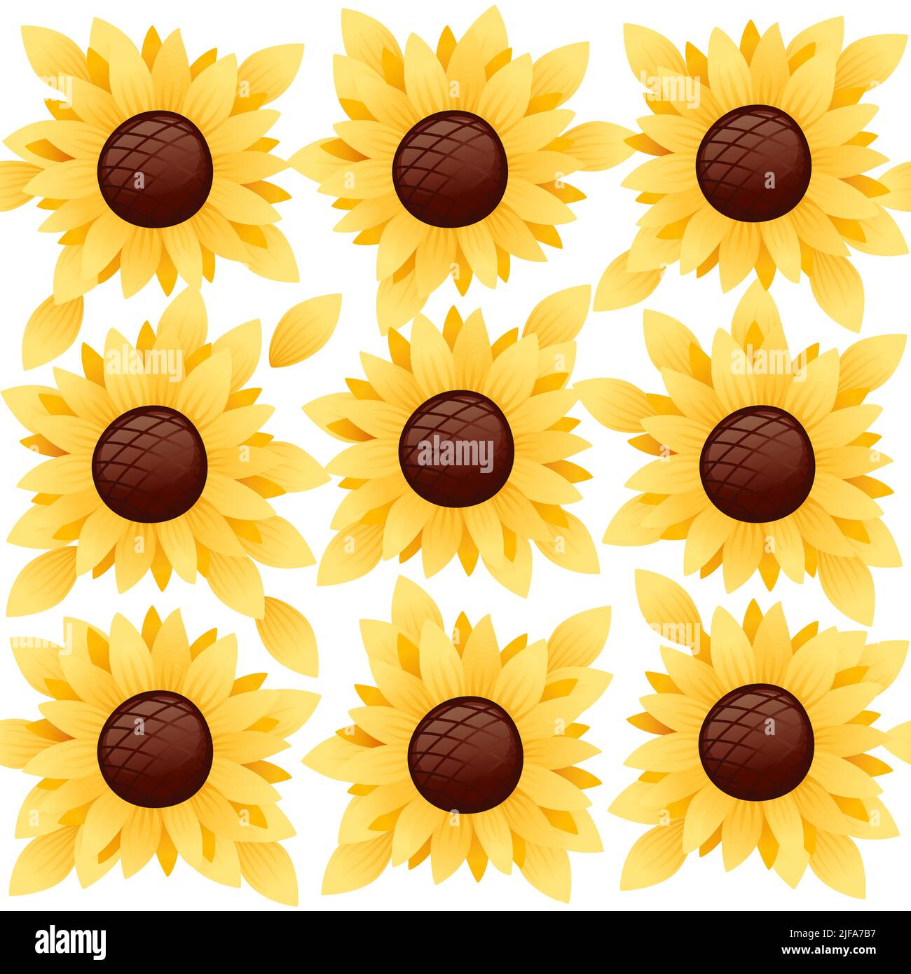 Seamless pattern sunflowers and seeds vector illustration on white ...