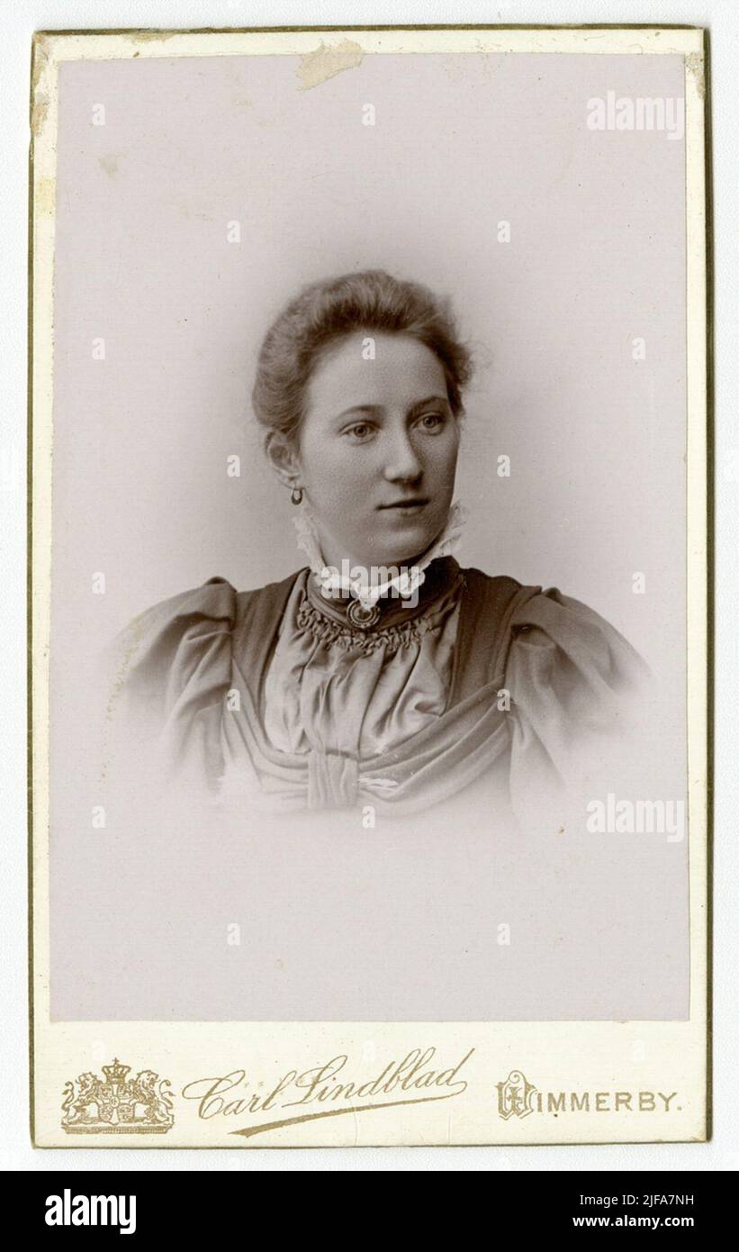 Portrait of unknown woman. Portrait of unknown woman. The photograph is ...