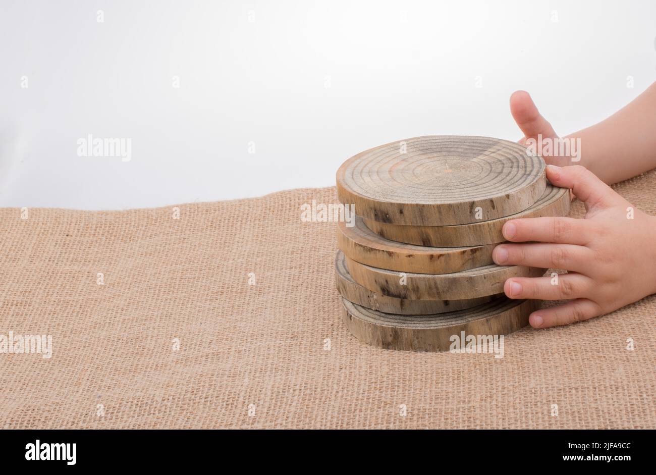 Wood Log cut in round thin pieces in hand Stock Photo - Alamy