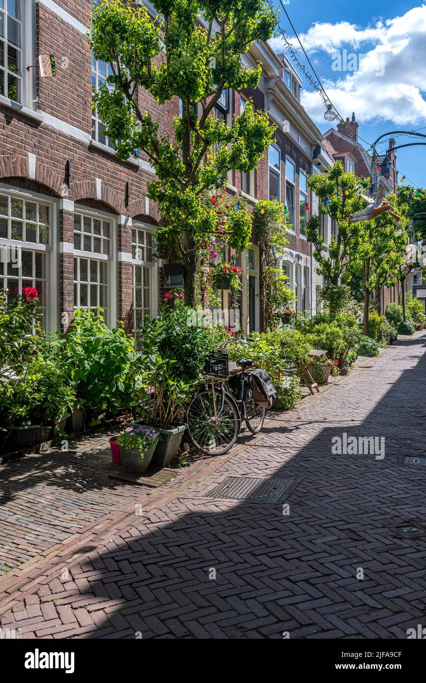 Pretty, narrow streets lined with plants and flower in the beautiful ...