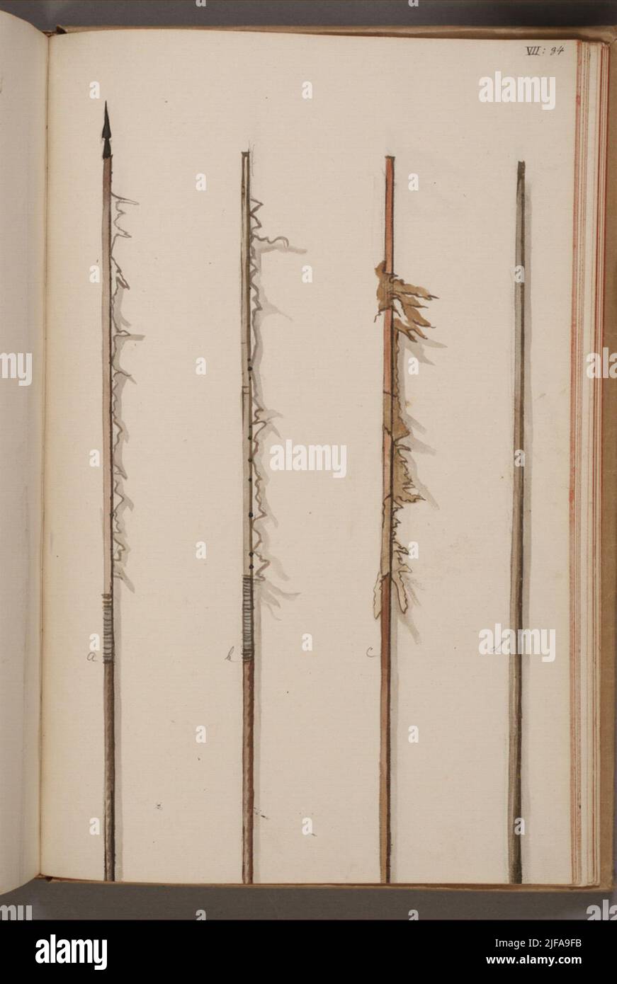 Department in gouache depicting fan bars taken as trophies of the ...