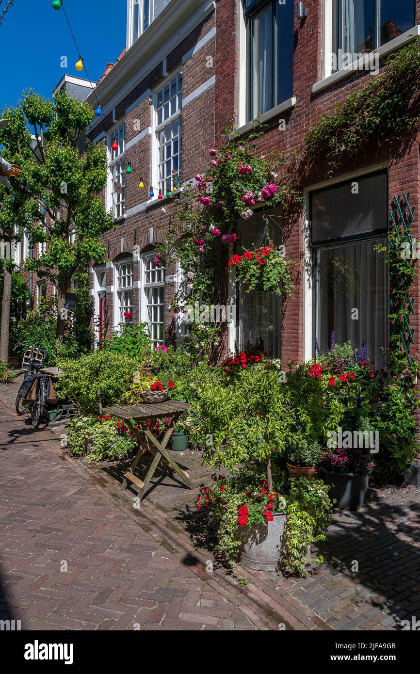 Haarlem streets haarlem gardens hi-res stock photography and images - Alamy