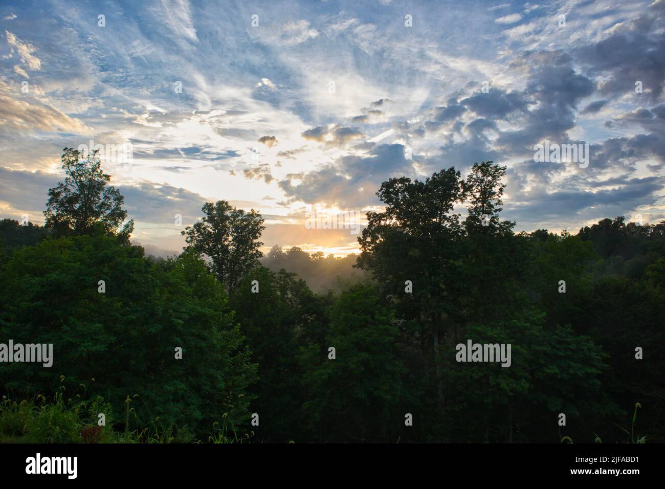 A sunset during evening in the forest Stock Photo - Alamy