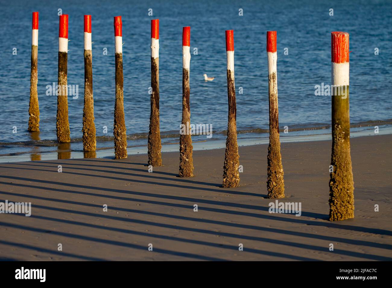 Red and white painted wooden bollard markers in the lagoon Stock Photo ...