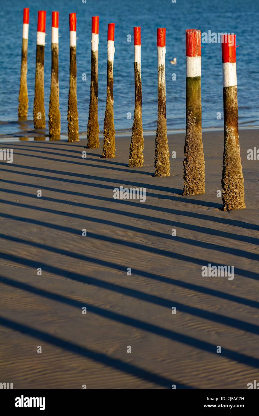Red and white painted wooden bollard markers in the lagoon Stock Photo ...