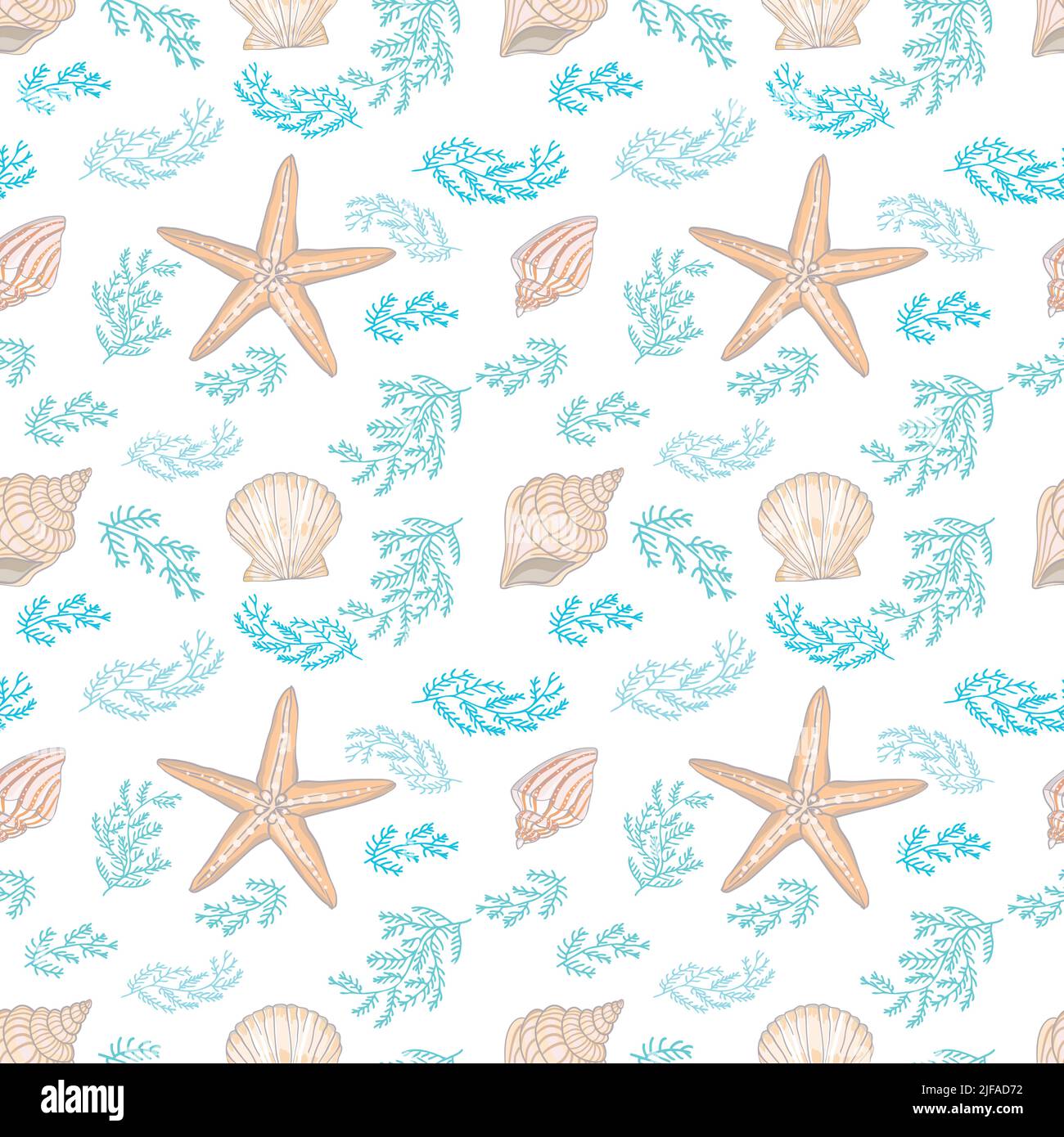 Hand drawn vector illustrations - seamless pattern of seashells. Marine ...