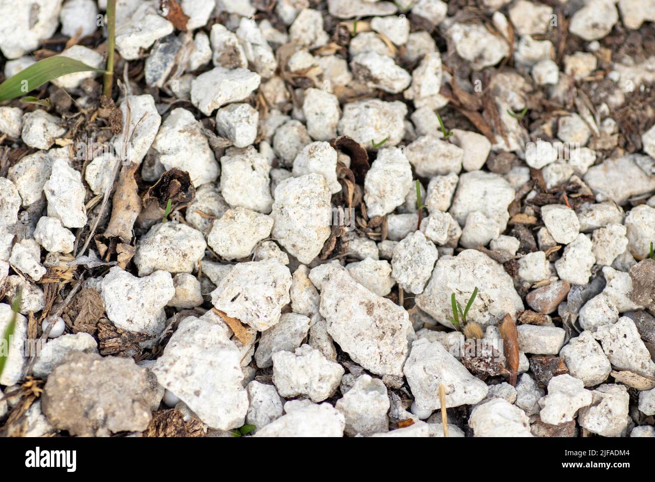 little white pebbles on the ground cover everything Stock Photo - Alamy
