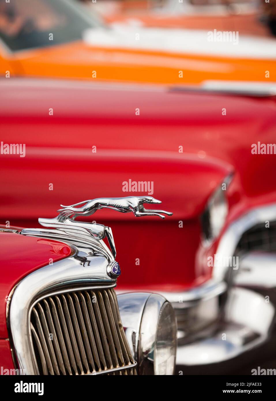 Radiator mascot, Greyhound, on a vintage Ford car, Vaermland, Sweden ...