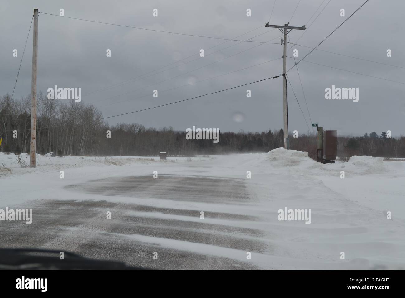 Bard Owl sitting on branhc in winter woods Stock Photo - Alamy