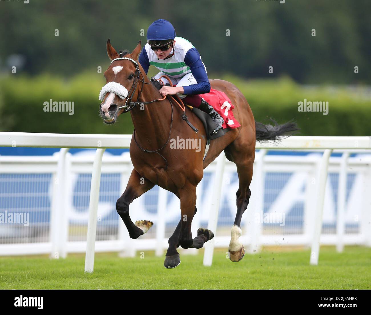 Coltrane horse hi-res stock photography and images - Alamy