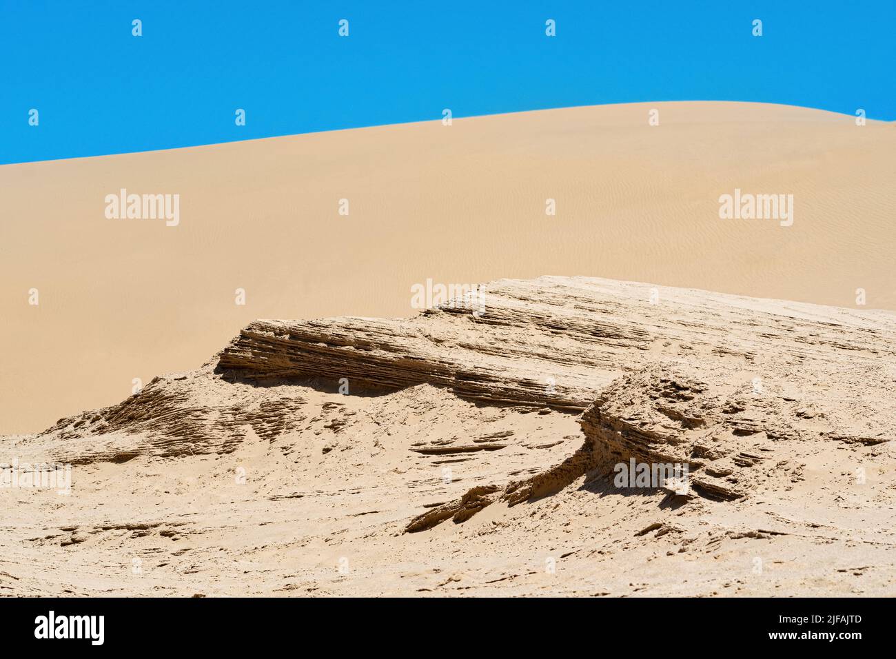 lithified sand deposits on the background of a sand dune in the desert ...