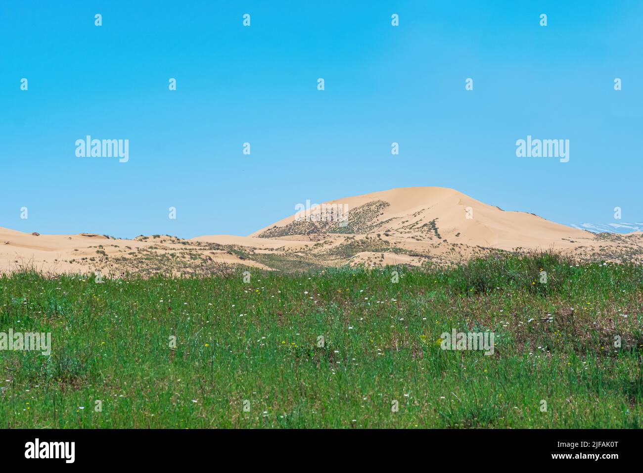 semi-desert landscape in the vicinity of the Sarykum sand dune Stock ...