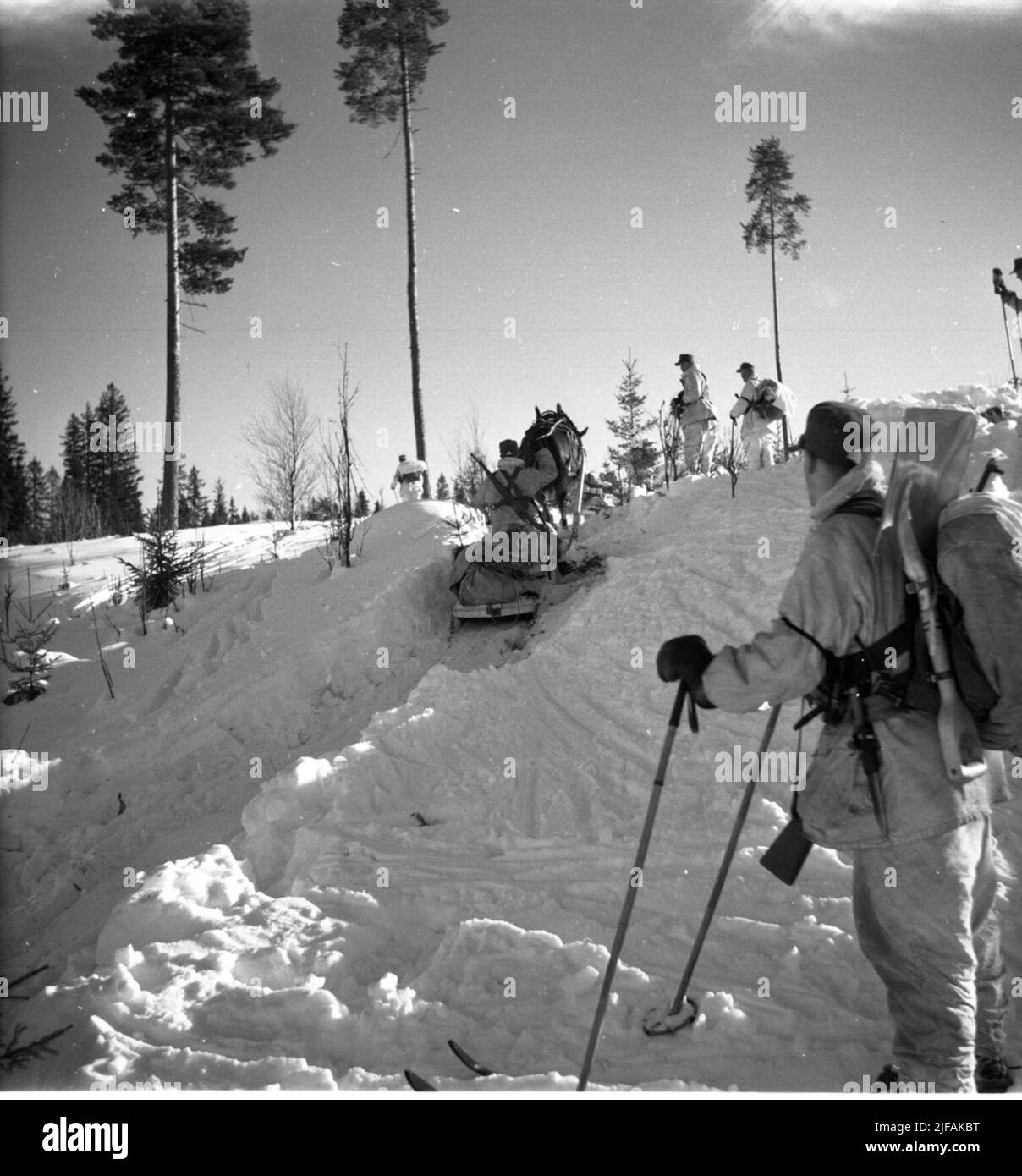 The horse pulls sled over a snow -covered hill. Military duty at ...