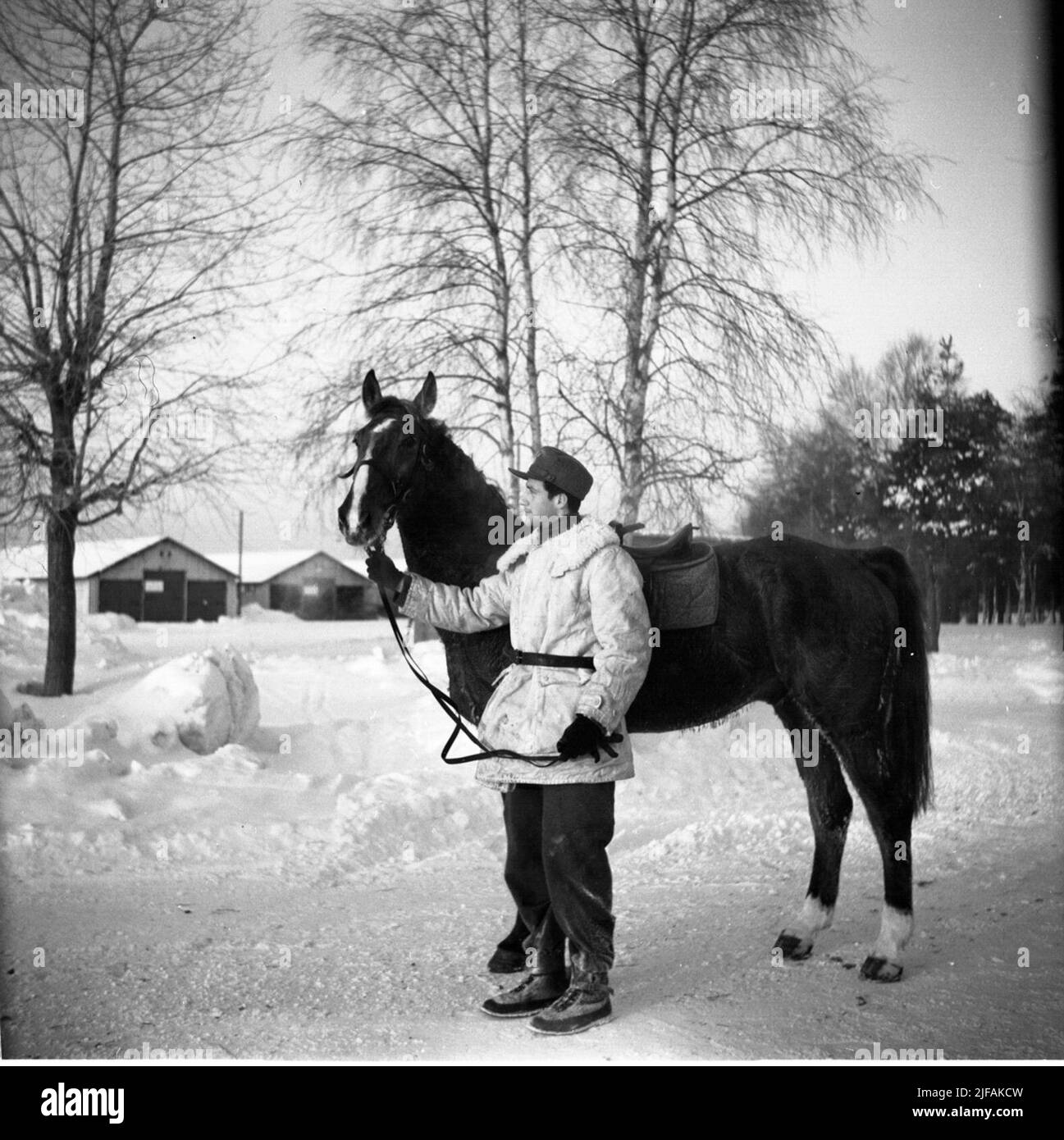 Swedish conscripts hi-res stock photography and images - Alamy