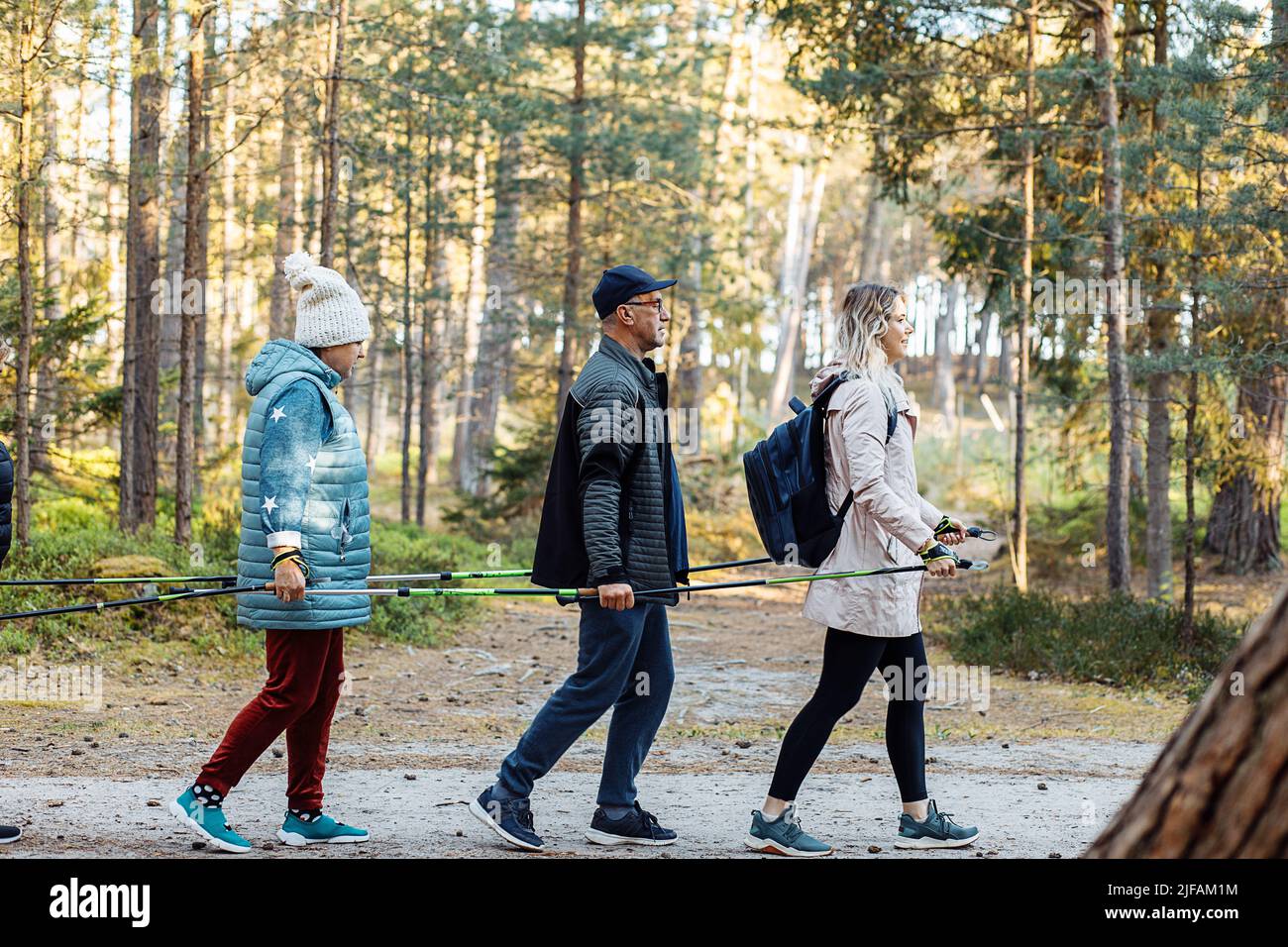 Three people with backpack make Scandinavian walking, hold trekking ...