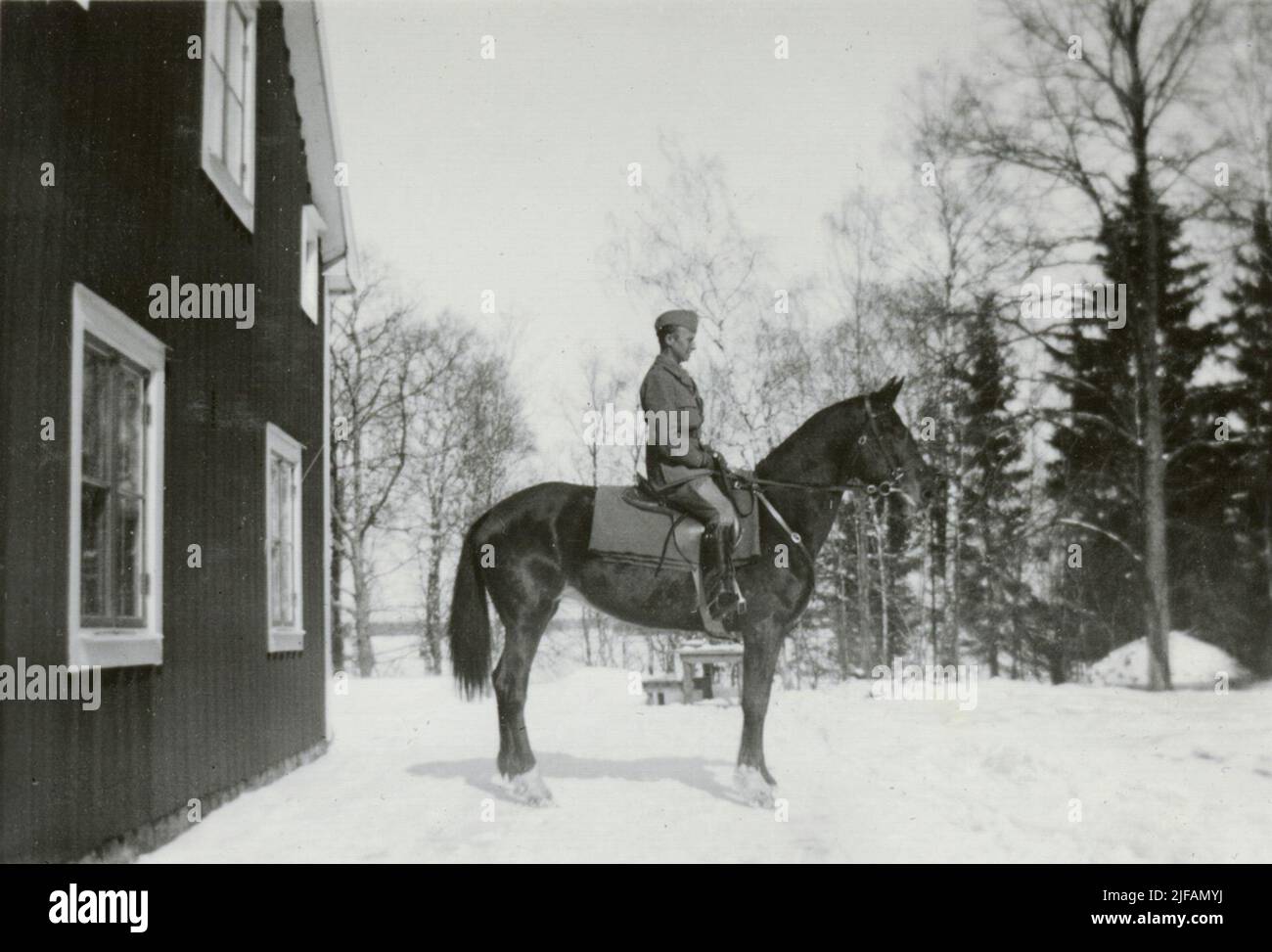 Officers from Södermanland Regiment in 10 and the horse Ruth Stock ...
