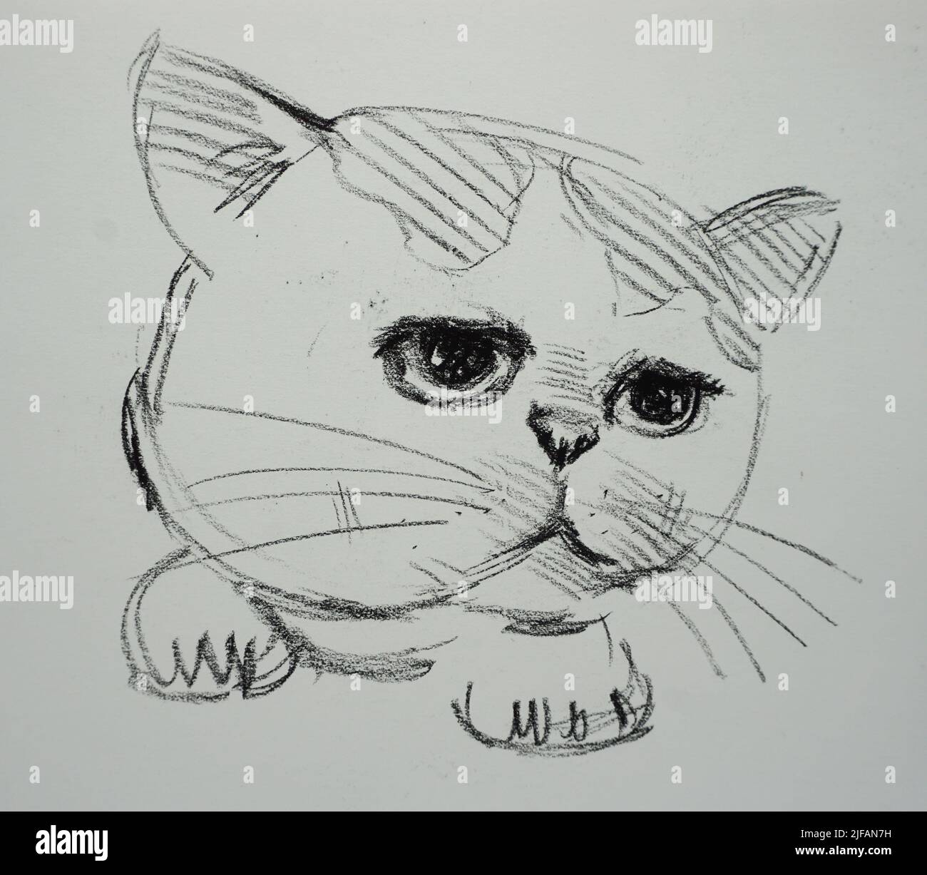 Free time, light and shadow line drawing, cute cat Stock Photo - Alamy