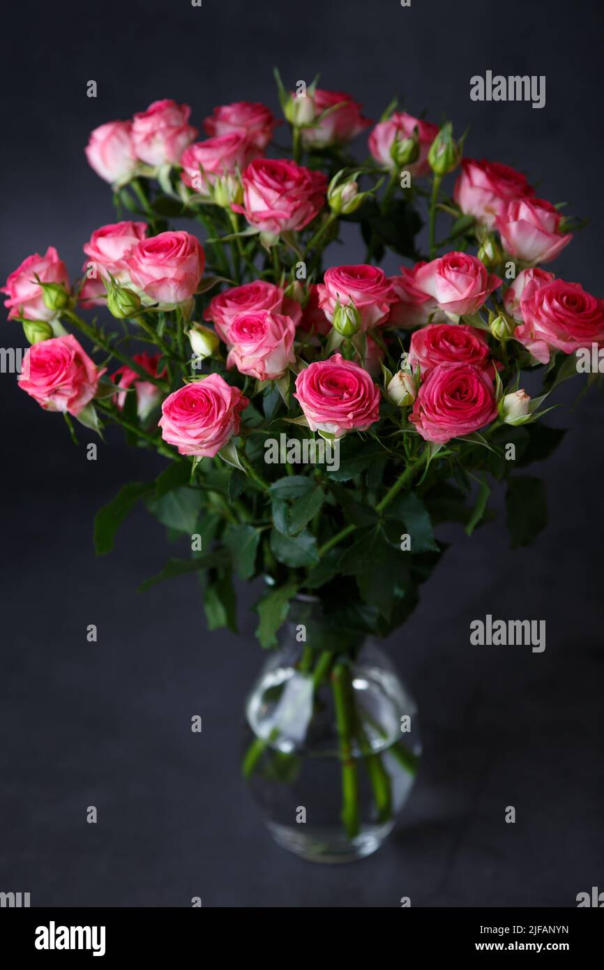 Green bushes with pink flowers hi-res stock photography and images - Alamy