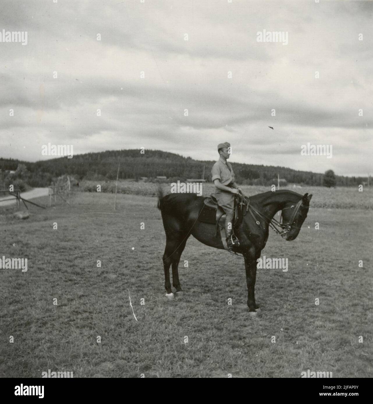 Officer from Södermanland Regiment in 10 to horse Stock Photo - Alamy