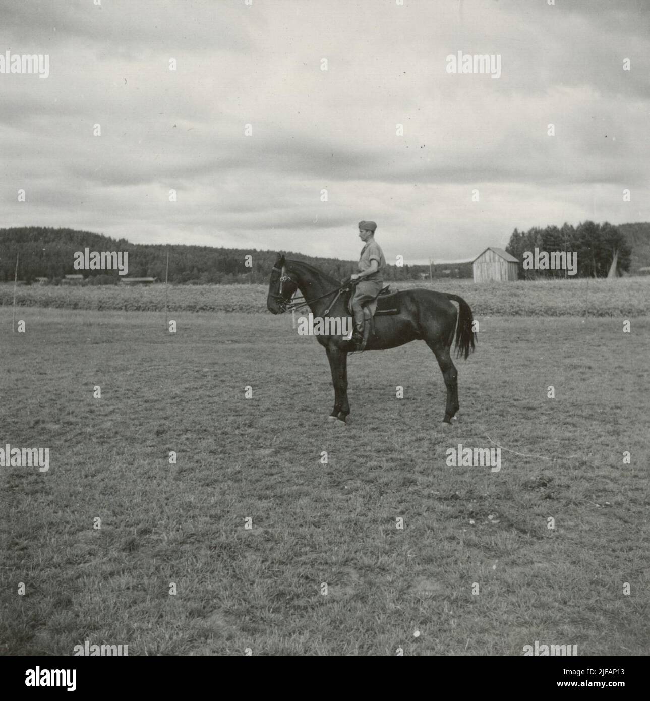 Officer from Södermanland Regiment in 10 to horse Stock Photo - Alamy