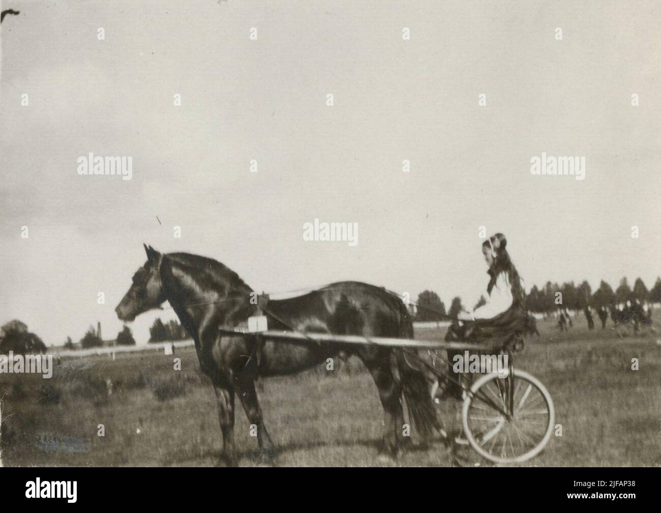 Trotting museum hi-res stock photography and images - Alamy
