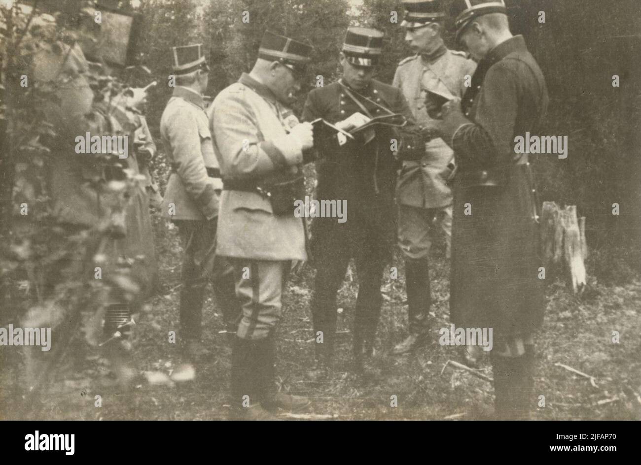 A group of officers read a map in the forest Stock Photo - Alamy