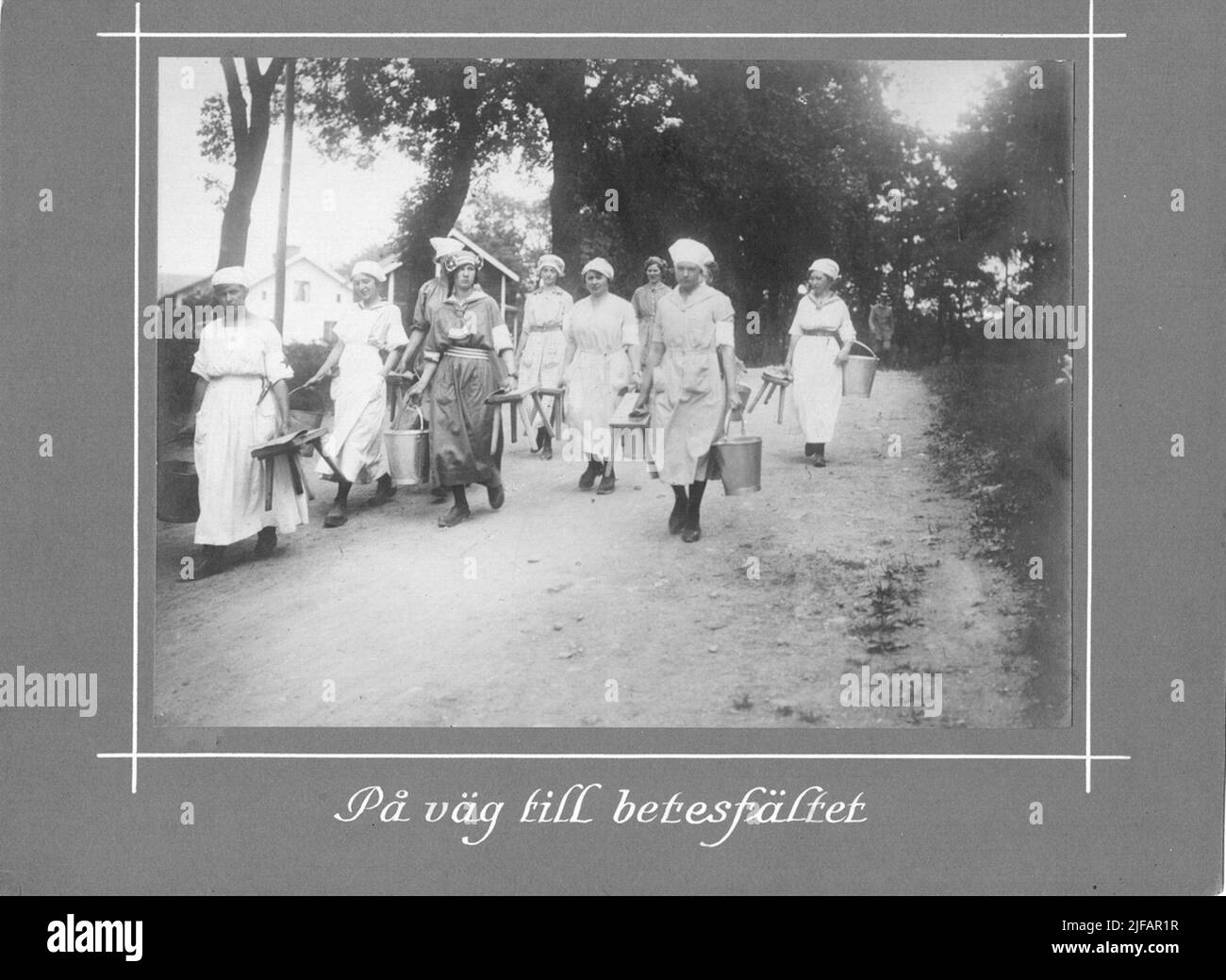 Swedish army ww1 hi-res stock photography and images - Alamy
