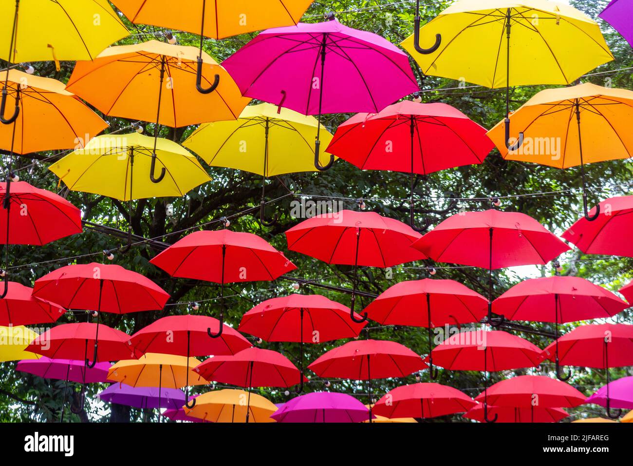Street decorated with colorful umbrellas, located at Alameda Mauricio de Nassau, in Holambra SP ...