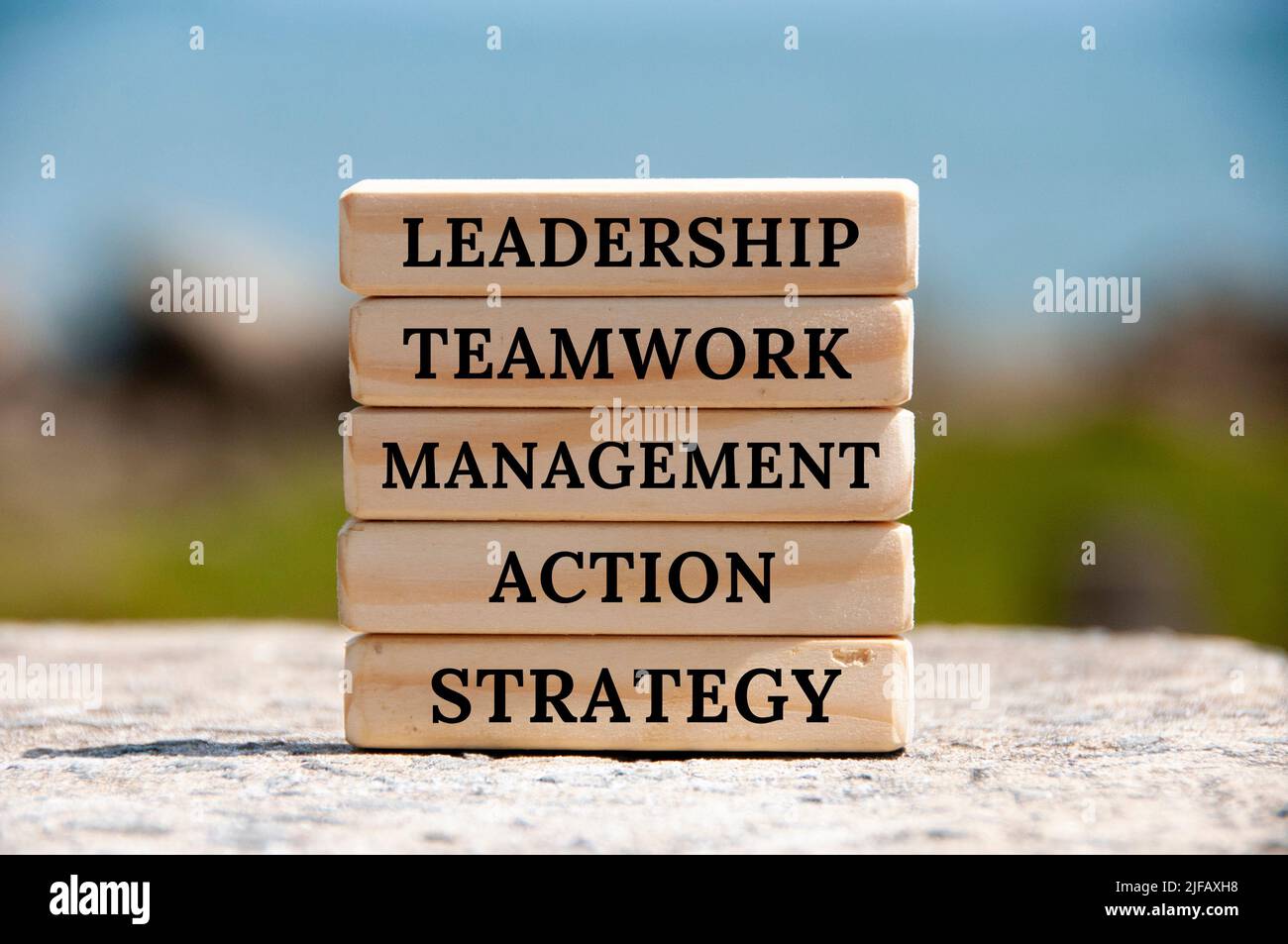 Leadership, teamwork, management, action and strategy text on wooden ...