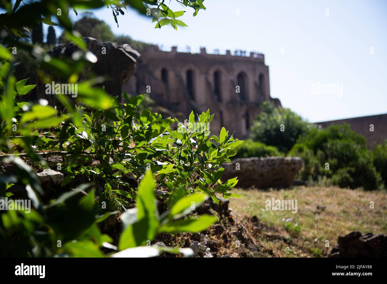 Ancient photography of rome hi-res stock photography and images - Alamy