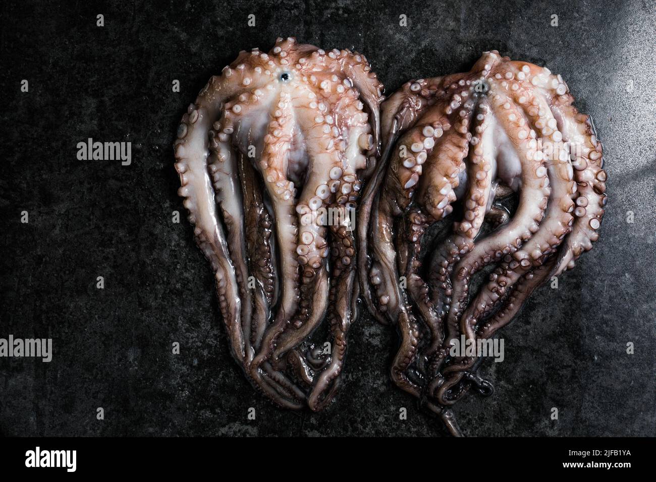 Octopus. Creative concept of healthy food with photos of delicious ...