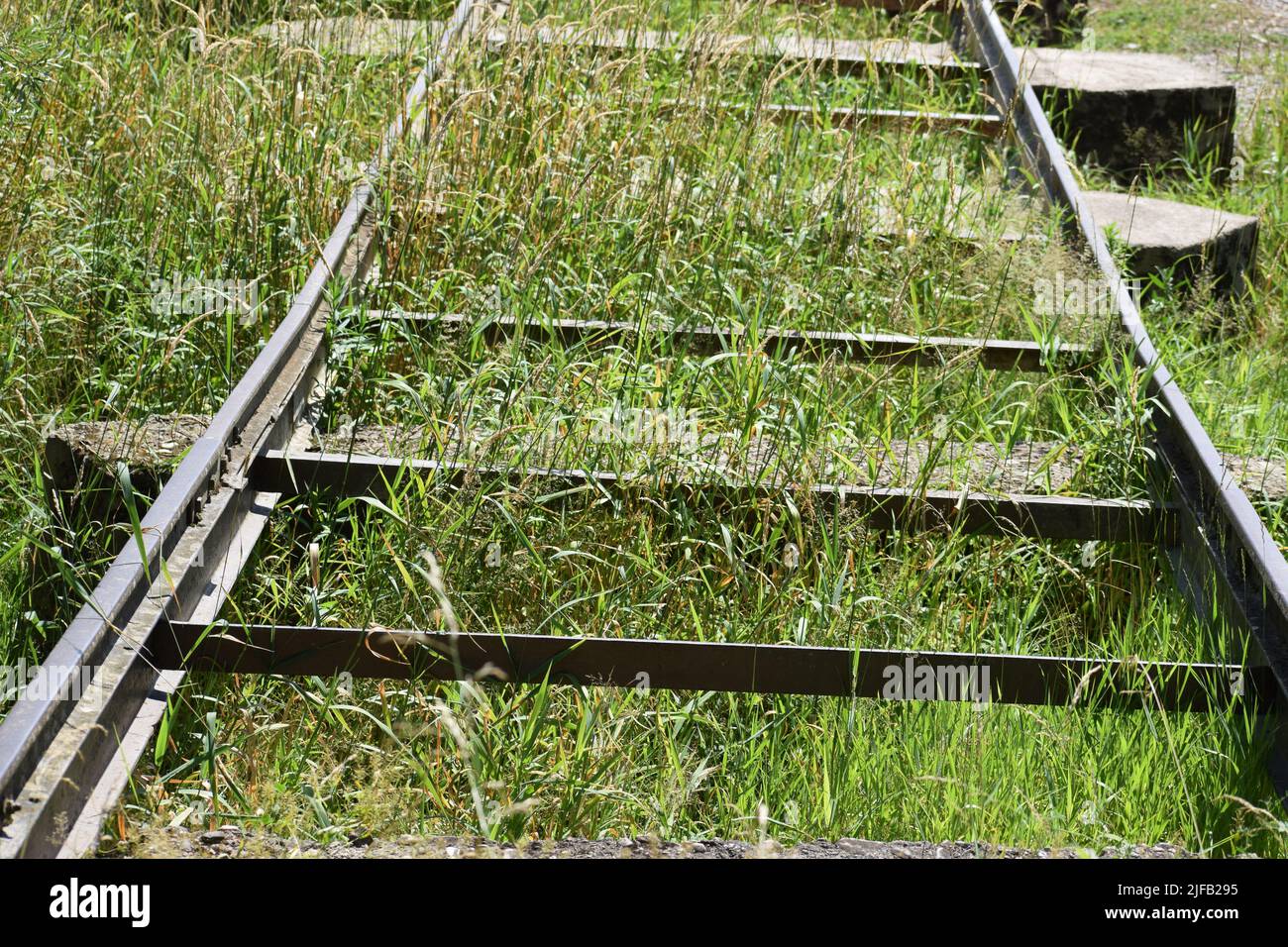 railroad into the water Stock Photo - Alamy