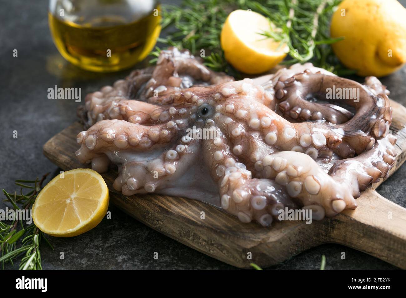 Octopus. Creative concept of healthy food with photos of delicious ...