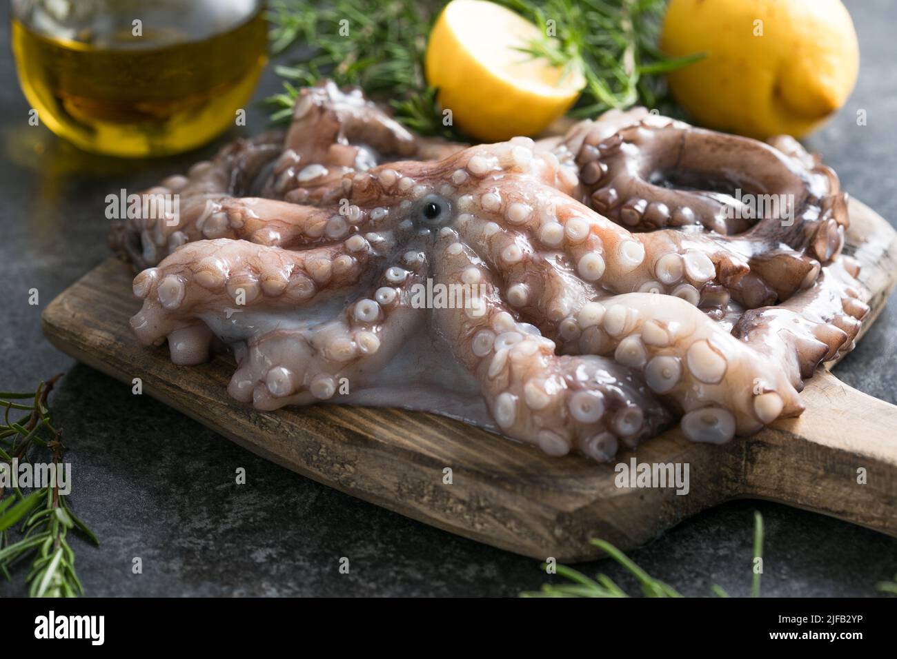Octopus. Creative concept of healthy food with photos of delicious ...