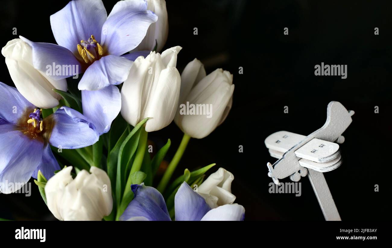 Spring 2022 hi-res stock photography and images - Alamy