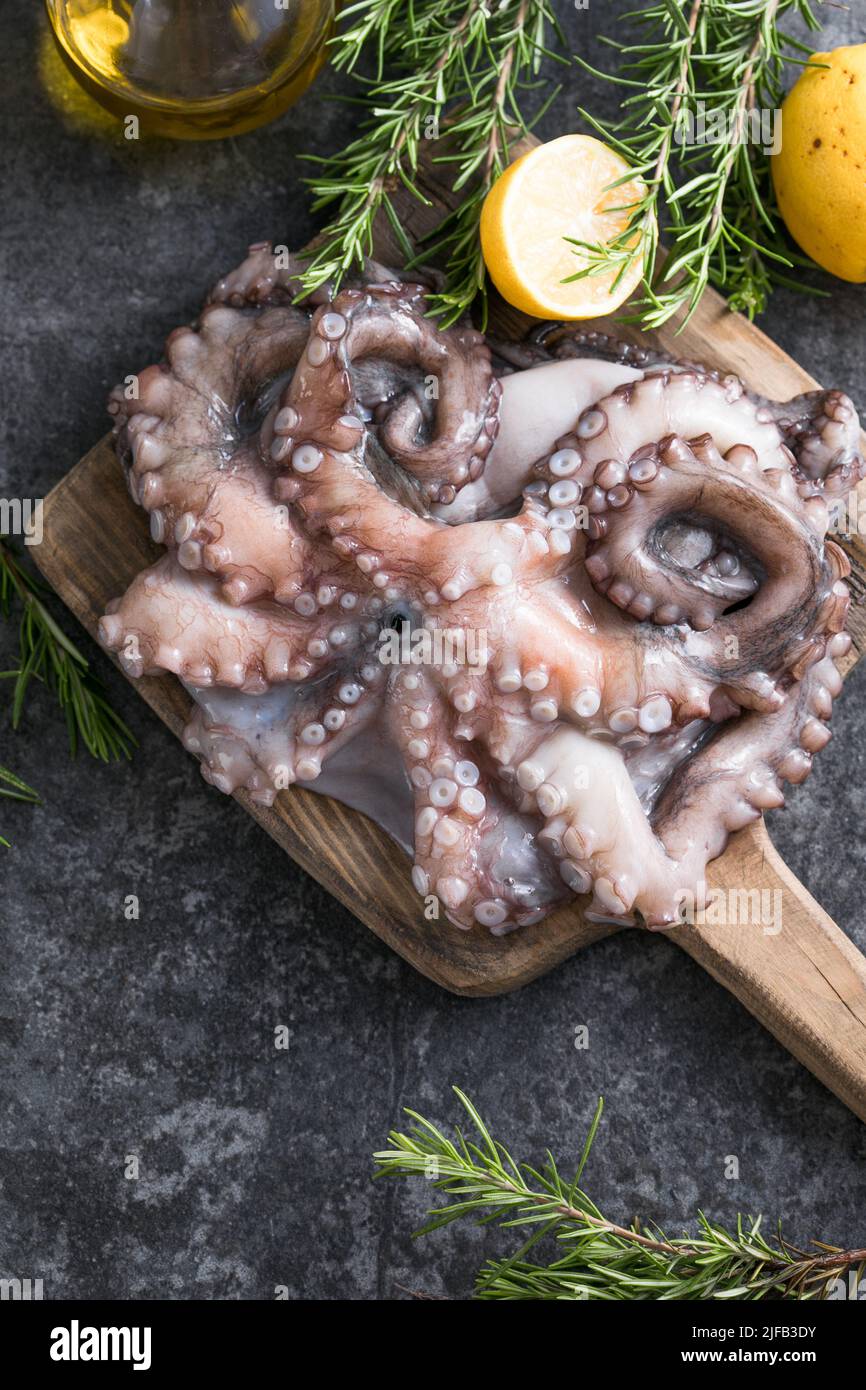 Octopus. Creative concept of healthy food with photos of delicious ...