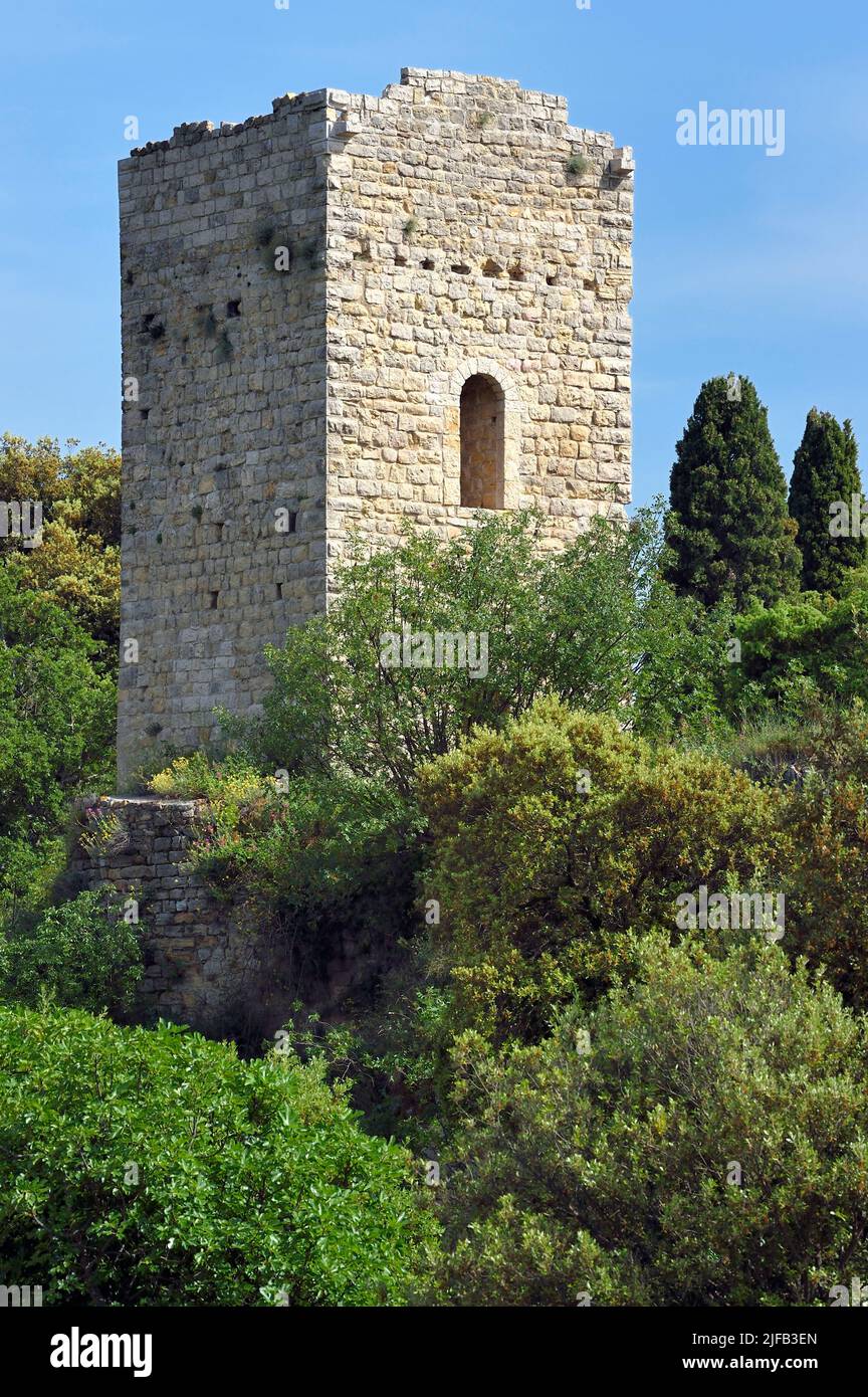 France, Var, the Dracenie, village of Chateaudouble, so-called Saracen ...