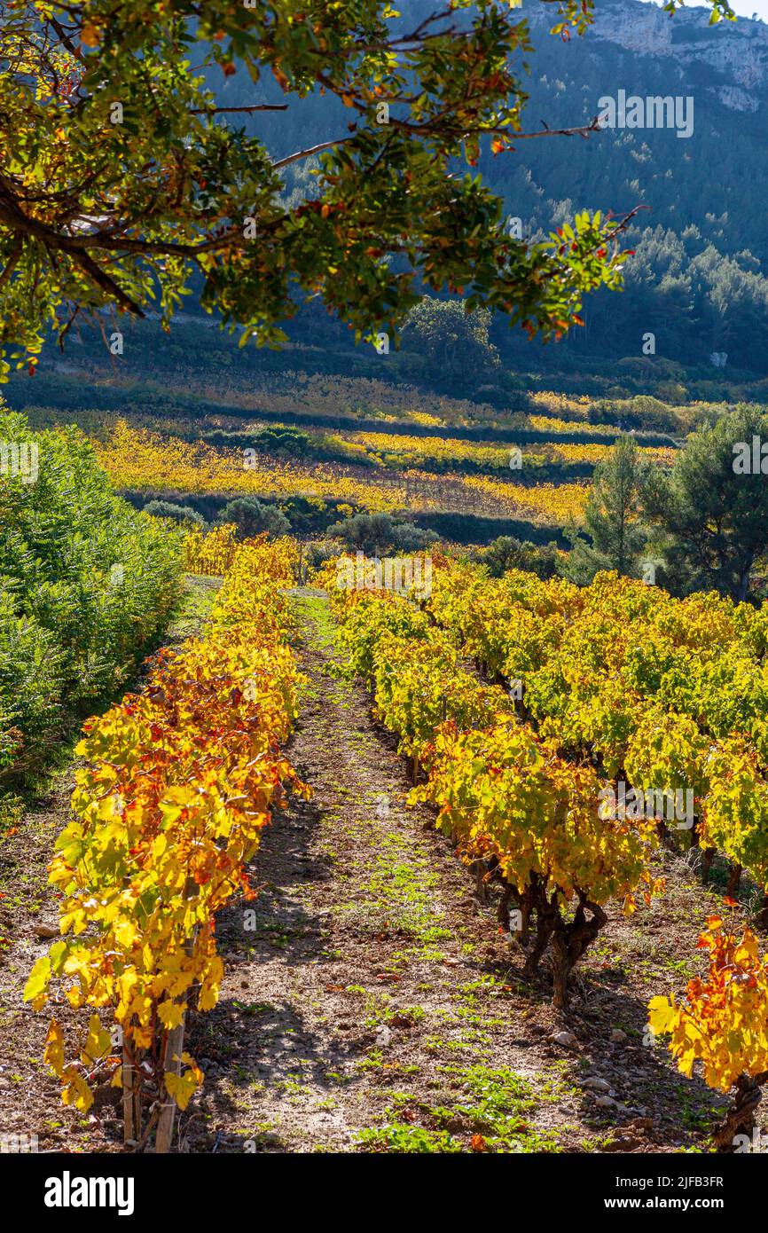 Cassis wines hi-res stock photography and images - Alamy