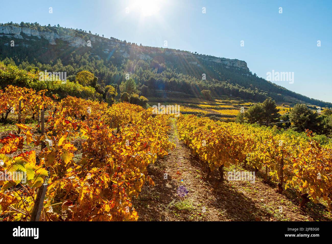 Cassis wines hi-res stock photography and images - Alamy