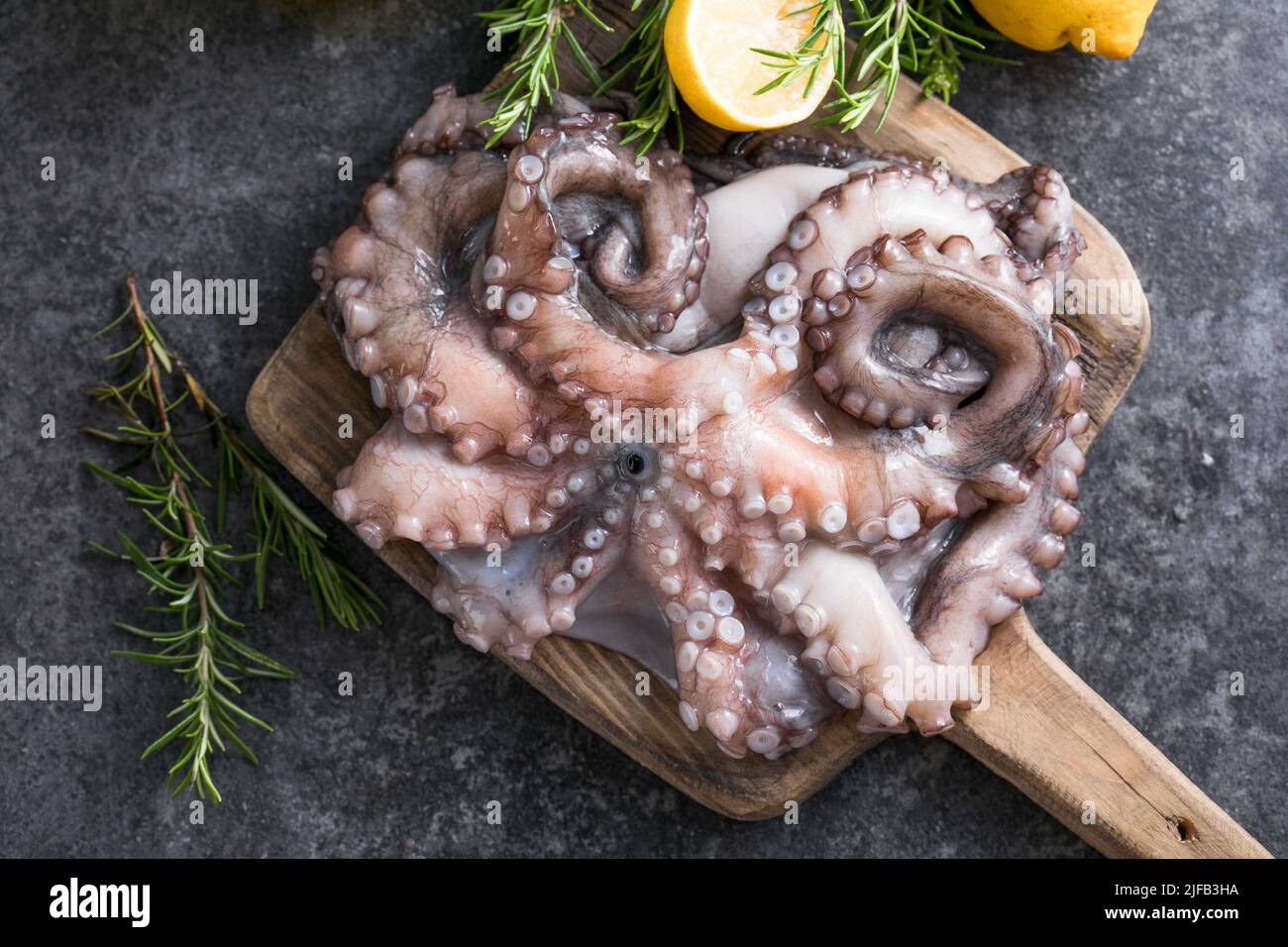 Octopus. Creative concept of healthy food with photos of delicious ...