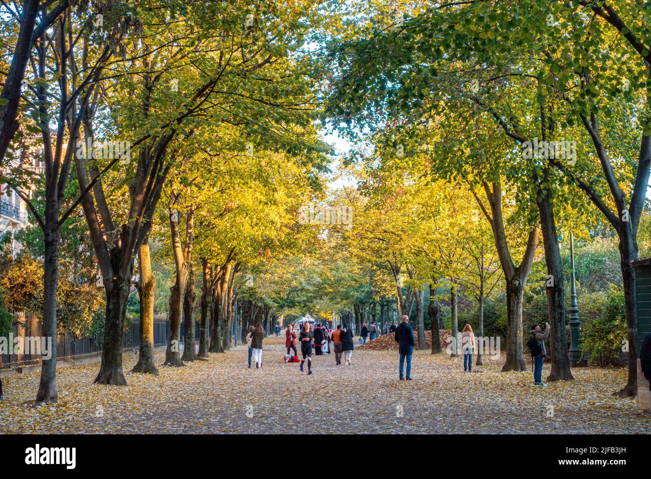 Mars leaves hi-res stock photography and images - Alamy